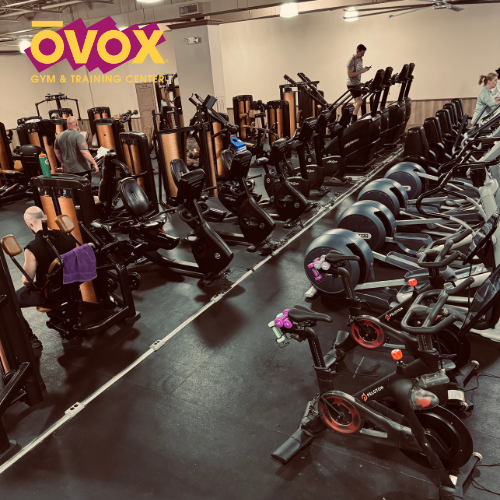 Gym Floor 2 | OVOX Morganville